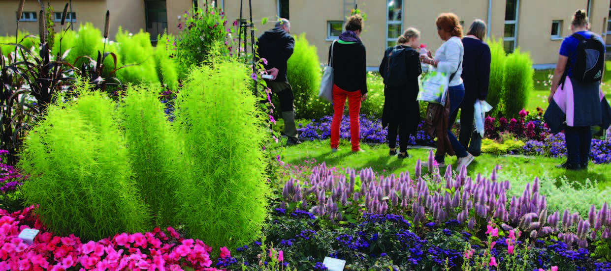 Lepaa 2022 -puutarha-alan ammattimessut 11.-13.8. – EOD